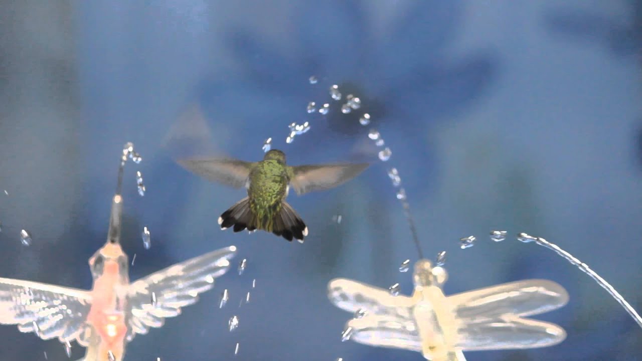 Hummingbird Playground Fountain Splash & Dip 5/27/2015 - YouTube