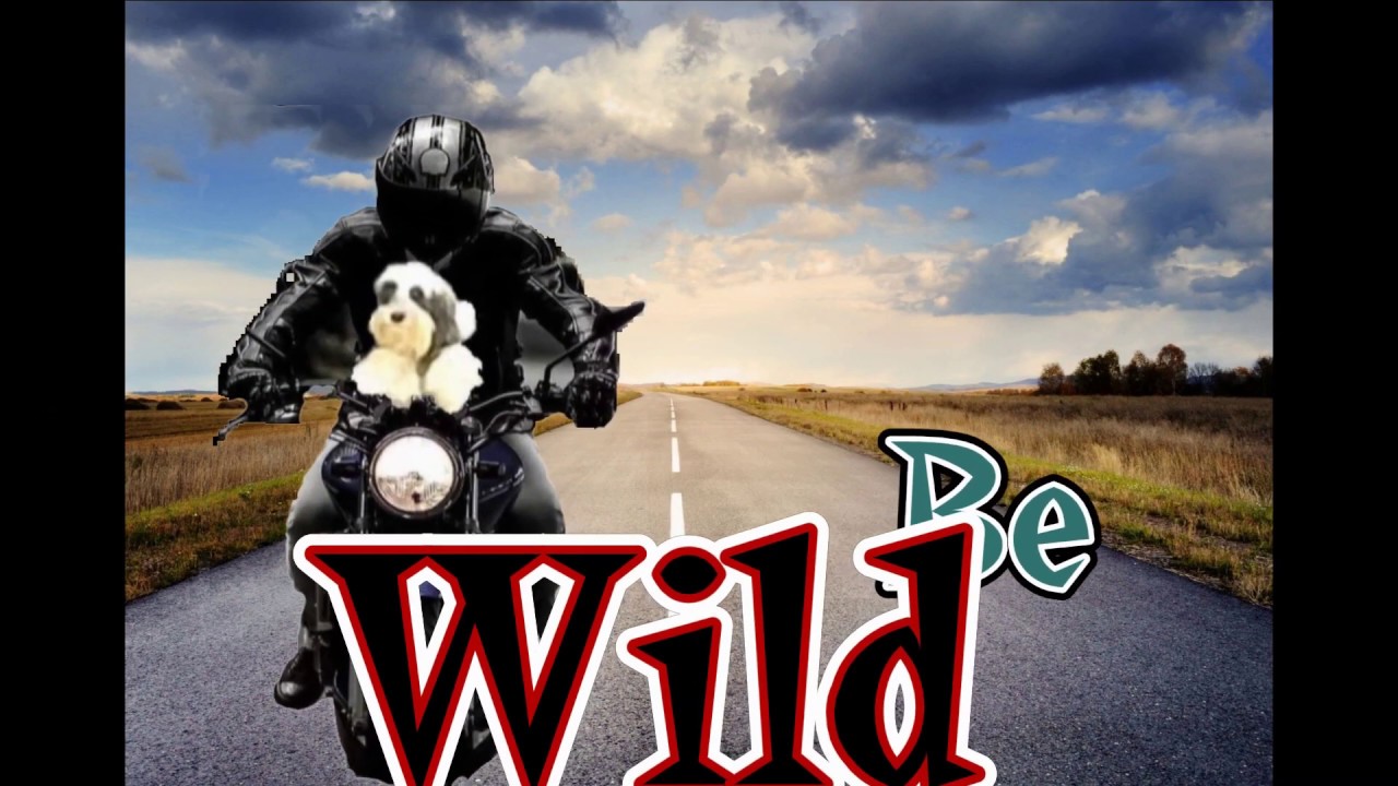 Born to Be Wild - YouTube