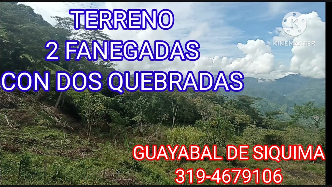 💵🎀BAJO $190 MILLONES (TERRENO DE 2 FANEGADAS) Guayabal de siquima ...