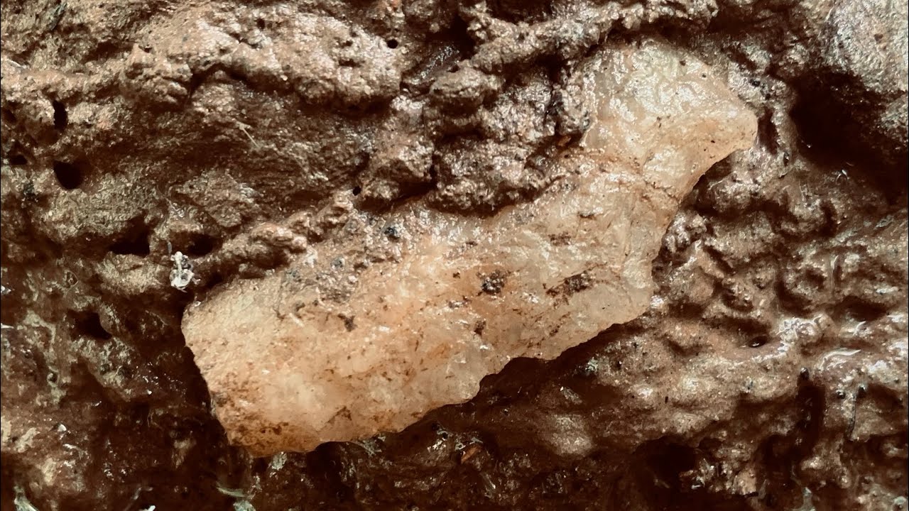 “Exploring & Sifting For Native Artifacts, Arrowhead Hunting North ...