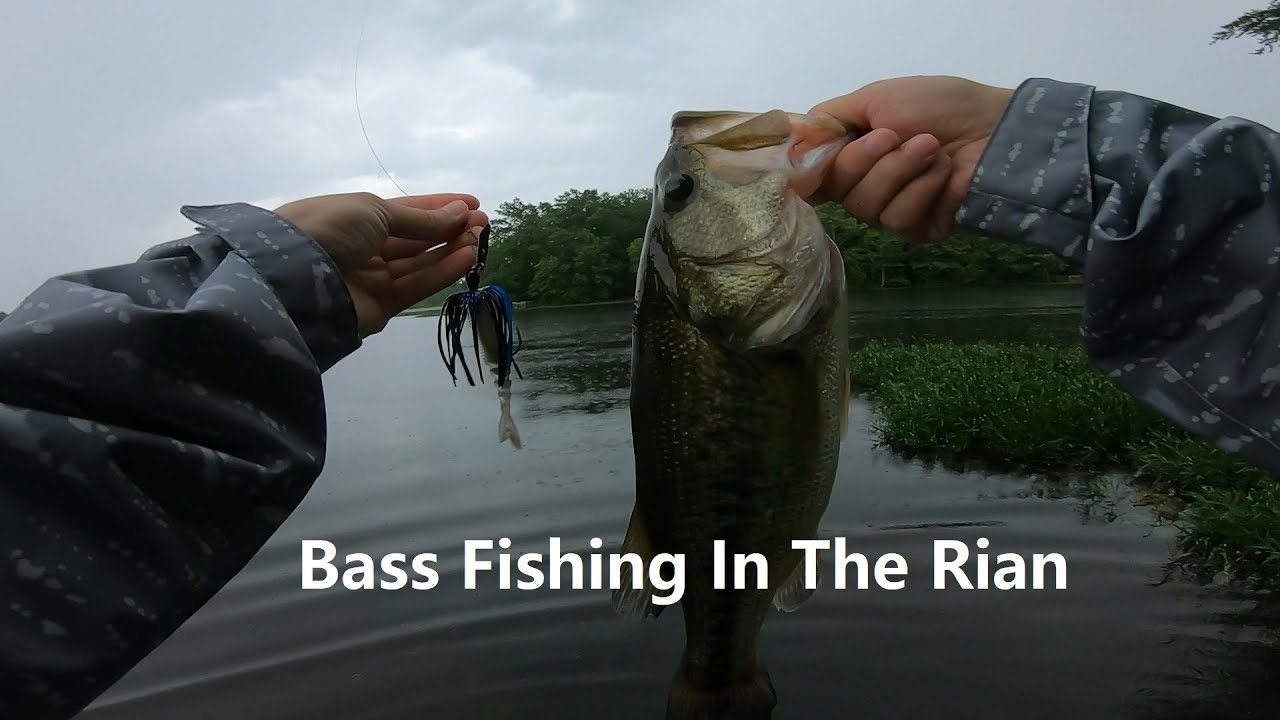 Snakehead And Bass Fishing In The Rian - YouTube