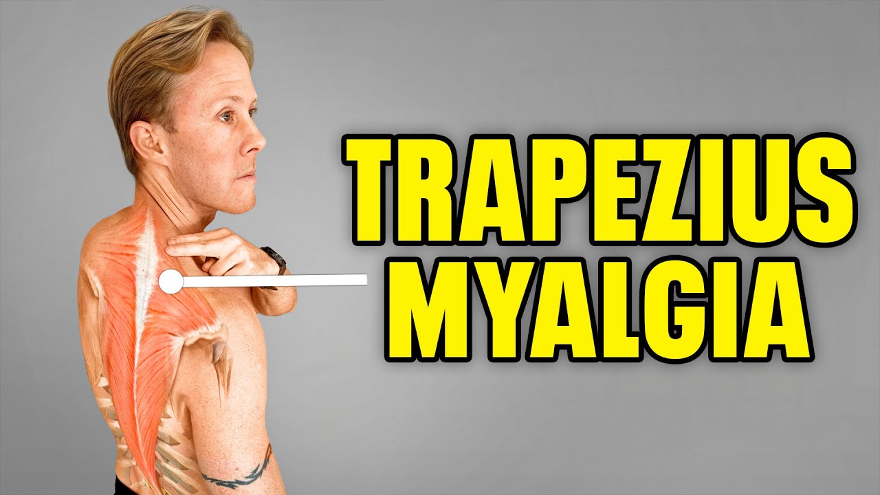 4 Trapezius Muscle Pain Exercises (Trapezius Myalgia) - YouTube