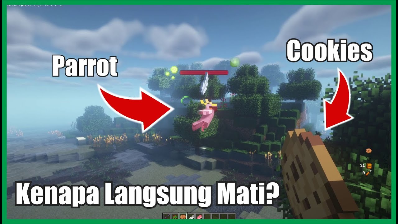 Kenapa Parrot Minecraft Diberi Cookies Langsung 💀 #shorts - YouTube