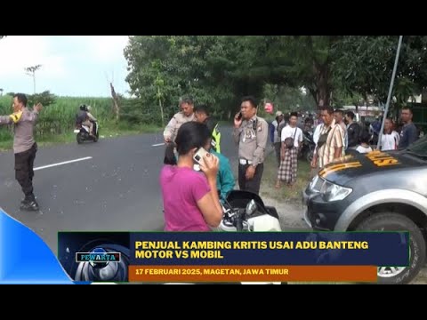 Penjual Kambing Kritis Usai Adu Banteng Motor Vs Mobil - YouTube