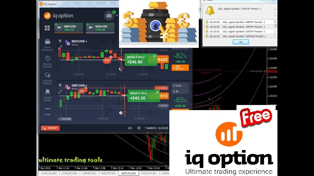 Ultimate DRAGON- VX-ALERT SIGNAL INDICATOR {FREE DOWNLOAD} - YouTube