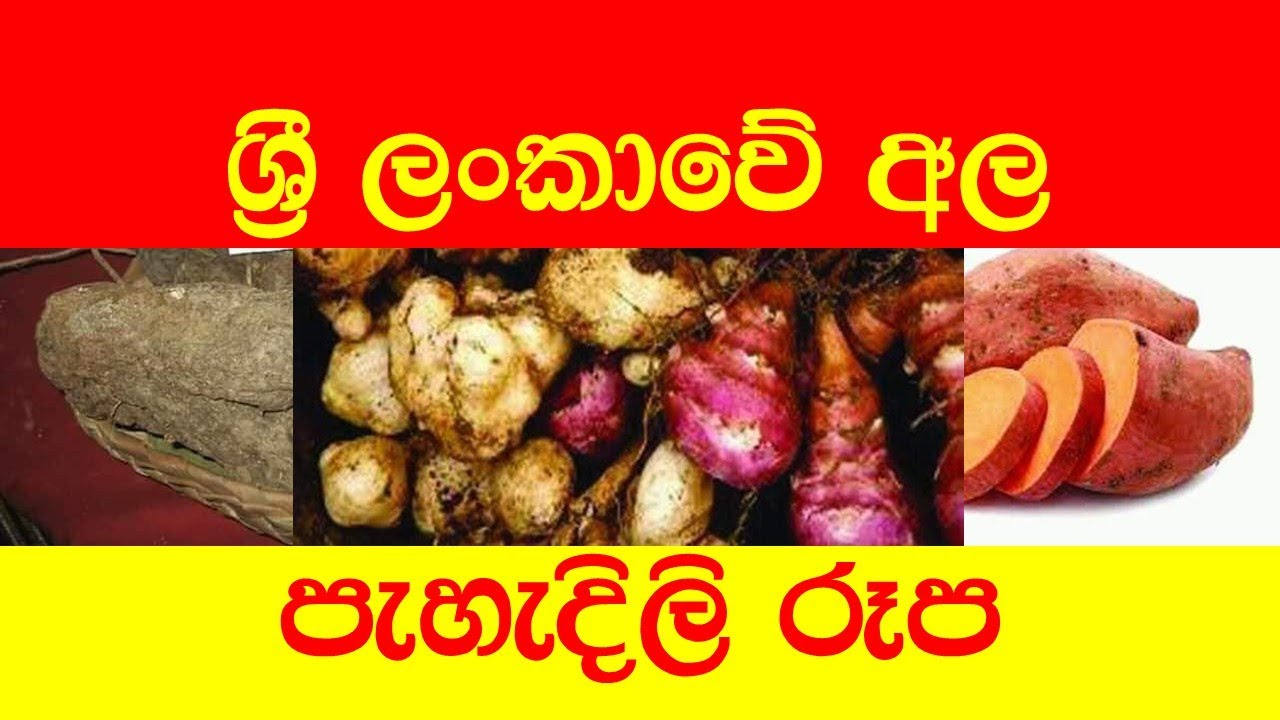 Sri Lanka yams - YouTube