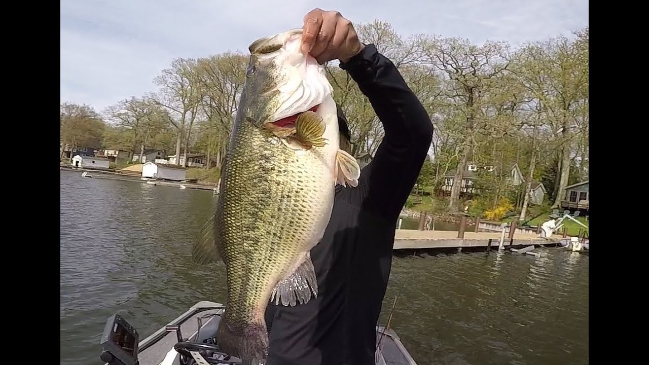 PB Fish Caught! Prespawn Bass fishing at Sodus Bay - YouTube