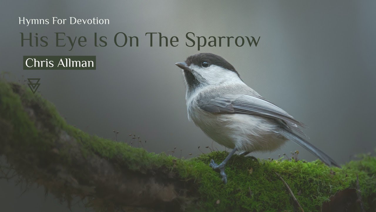 His Eye Is On The Sparrow | Chris Allman (Tenor) | Hymns For Devotion ...