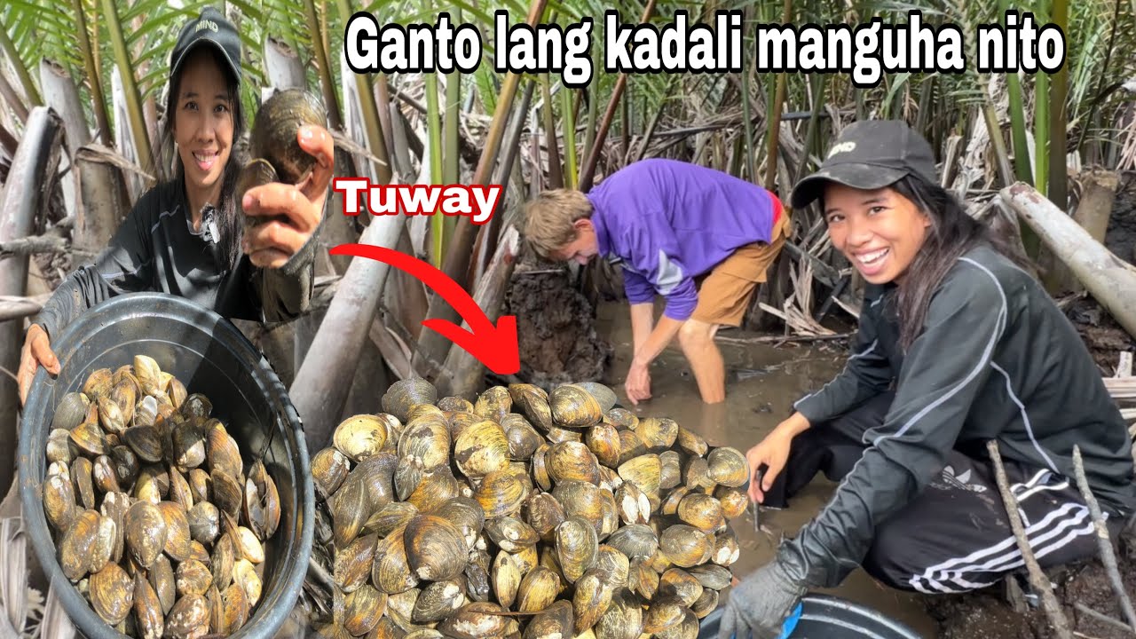 Traditional Way to Harvest Shell In the Nipa Forest Sobrang Dami - YouTube
