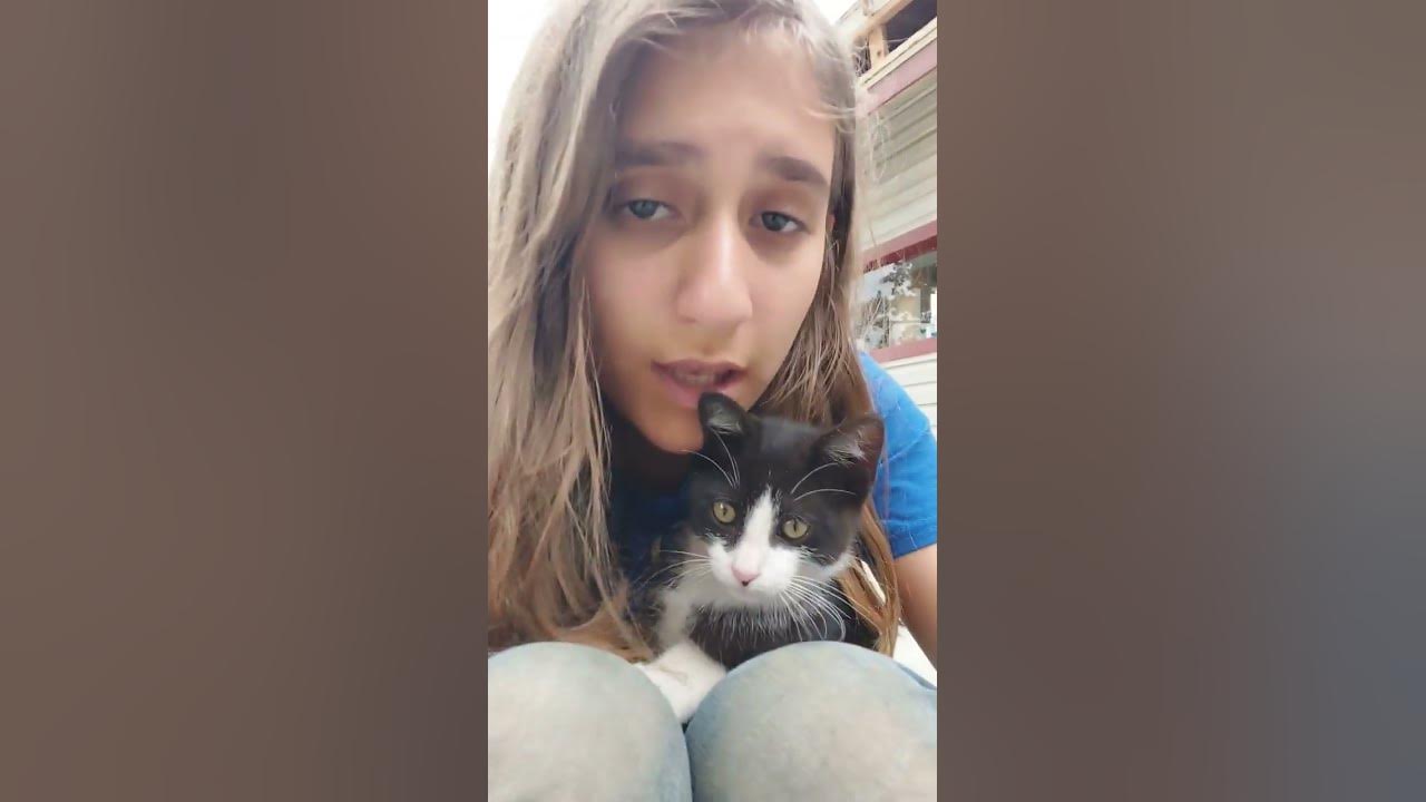 I Love My Cats Fun Funny Cute Cat Funnycats Catlover Catvideos Youtube