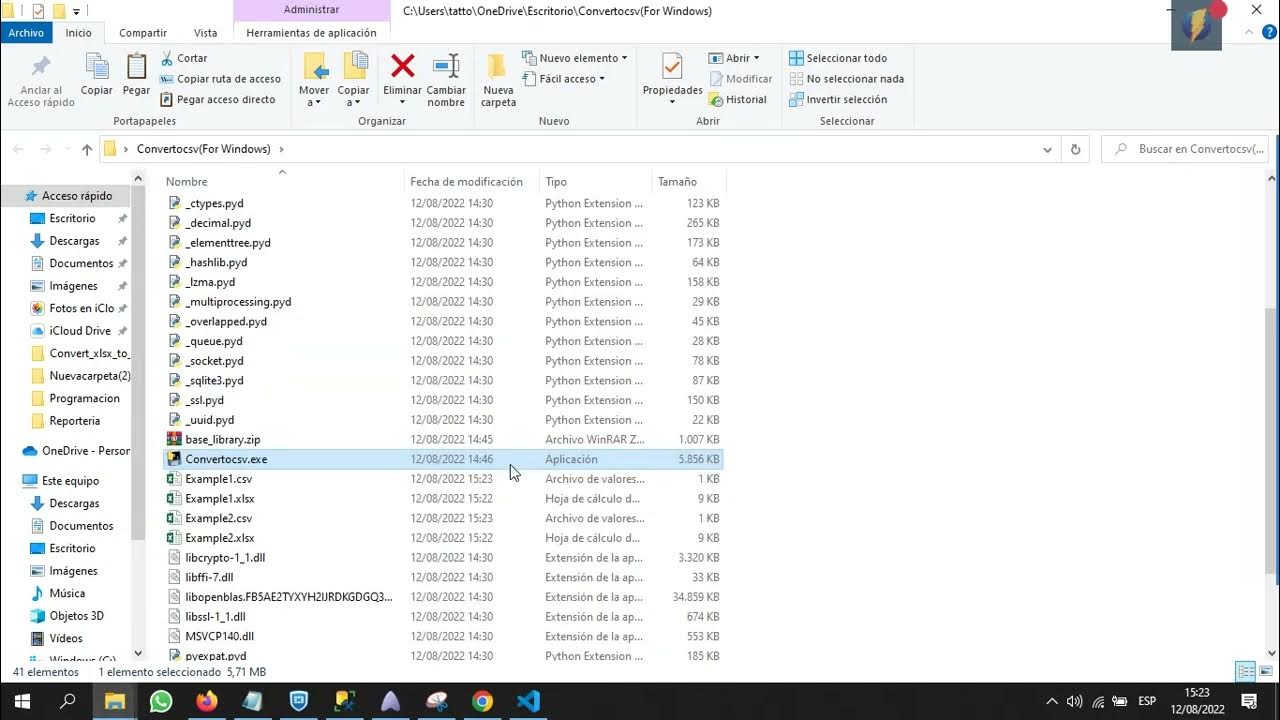 Convert .xlxs to .csv files with python - YouTube