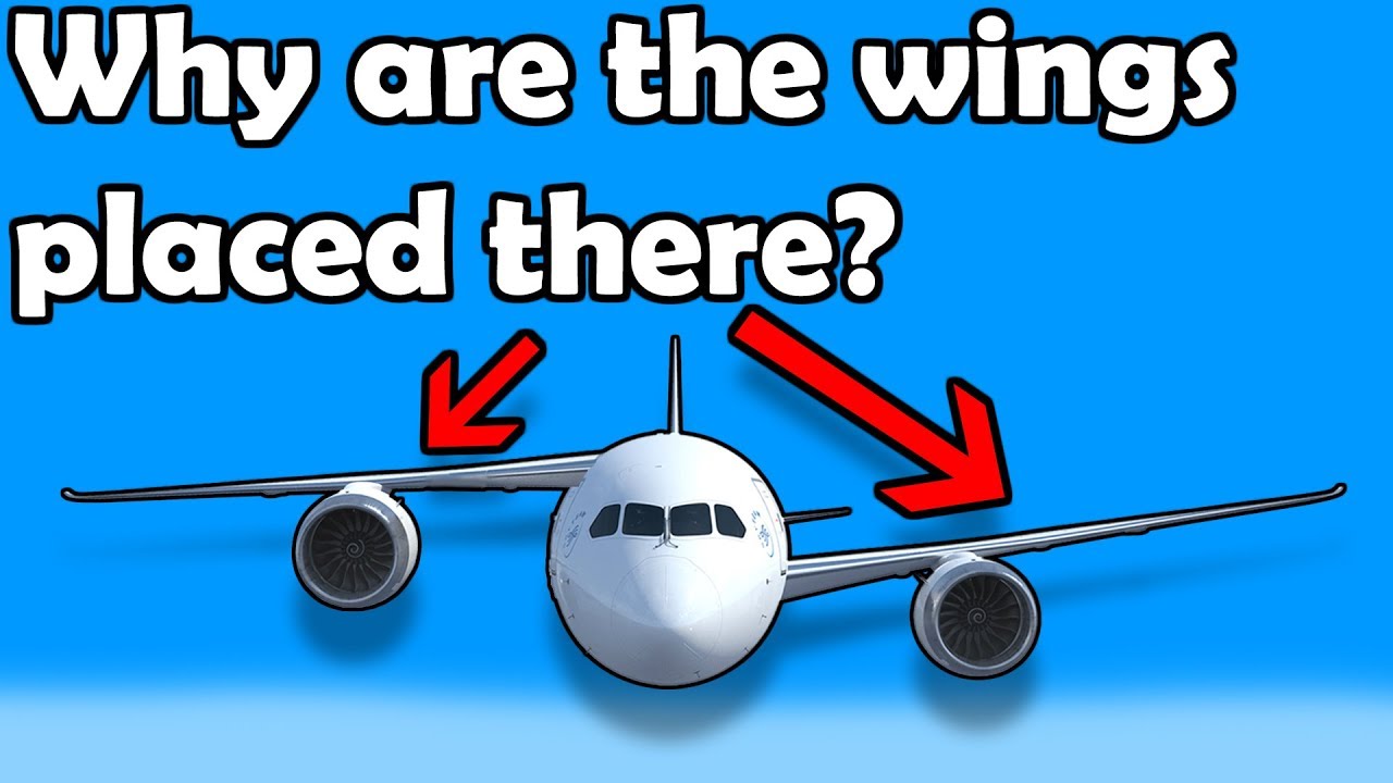 What Is The Difference Between High Wing And Low Wing at Anna Beyers blog