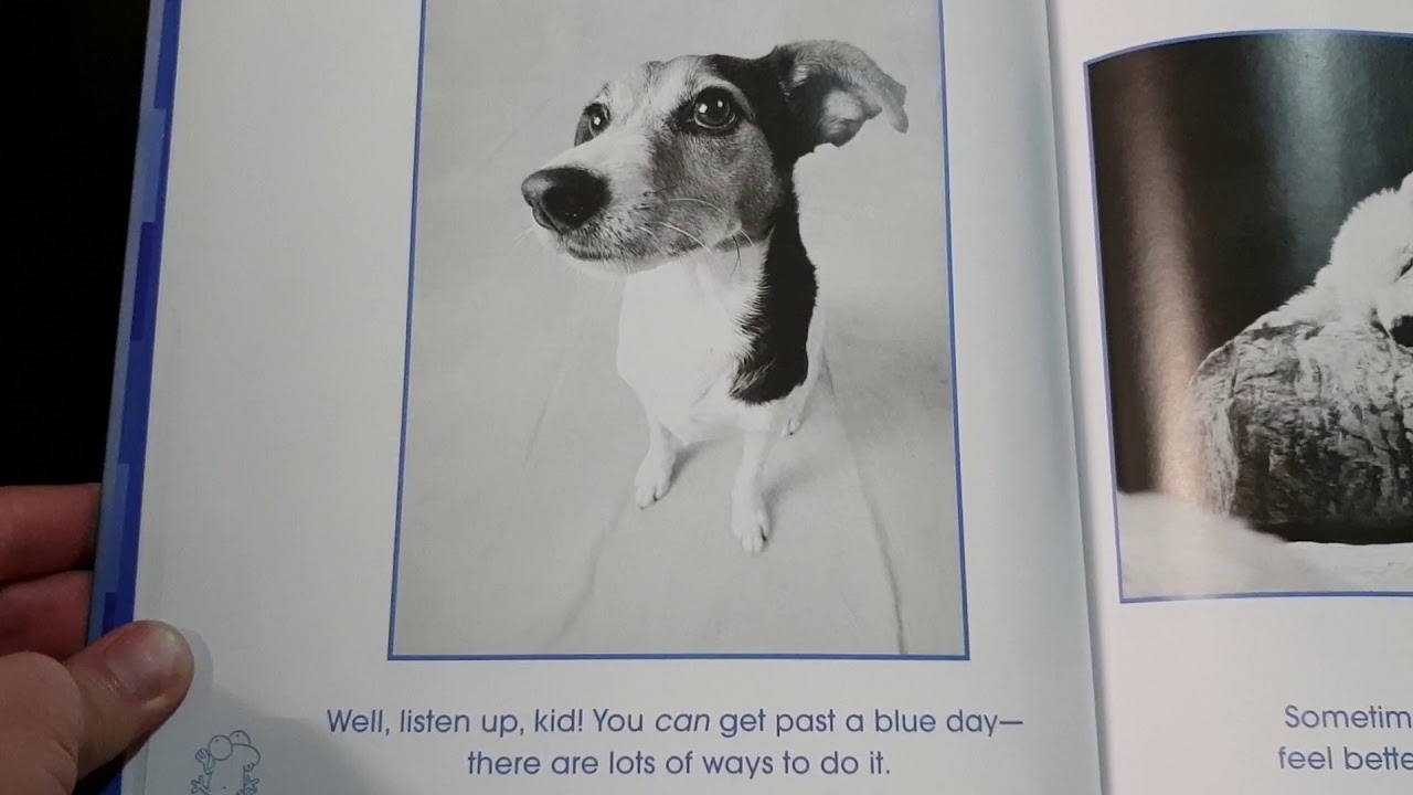 The Blue Day Book for kids: A Lesson in Cheering Yourself Up - YouTube