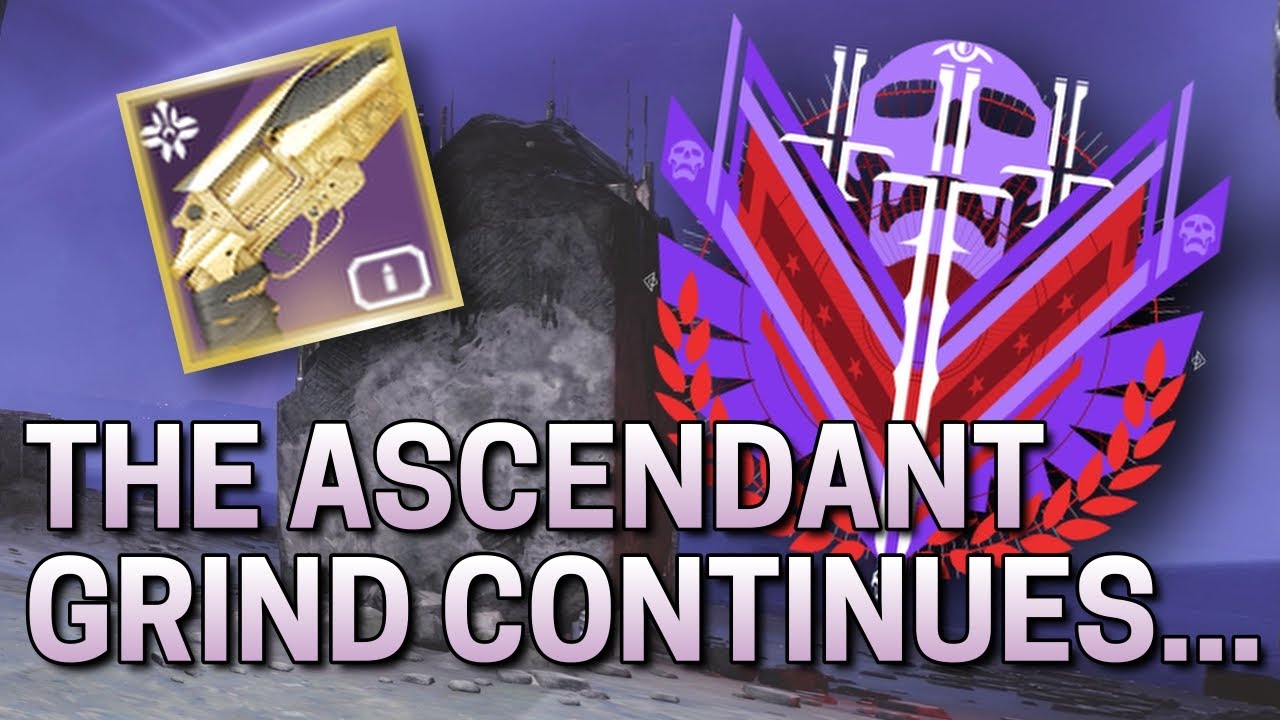 pushing towards the adept promo | Solo Queue Competitive [Destiny 2 ...