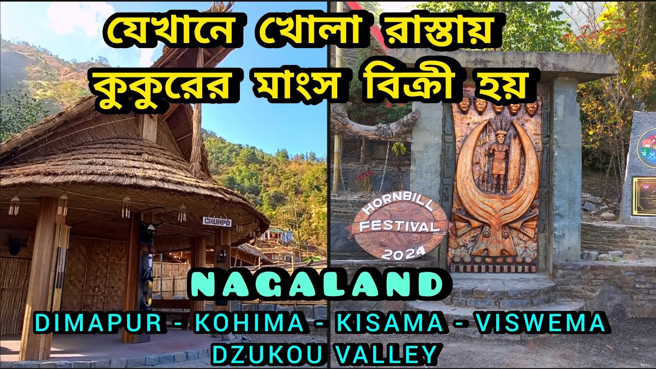 KOHIMA NAGALAND TOUR 2025 | KISAMA | VISWEMA | DIMAPUR | NAGA HERITAGE ...