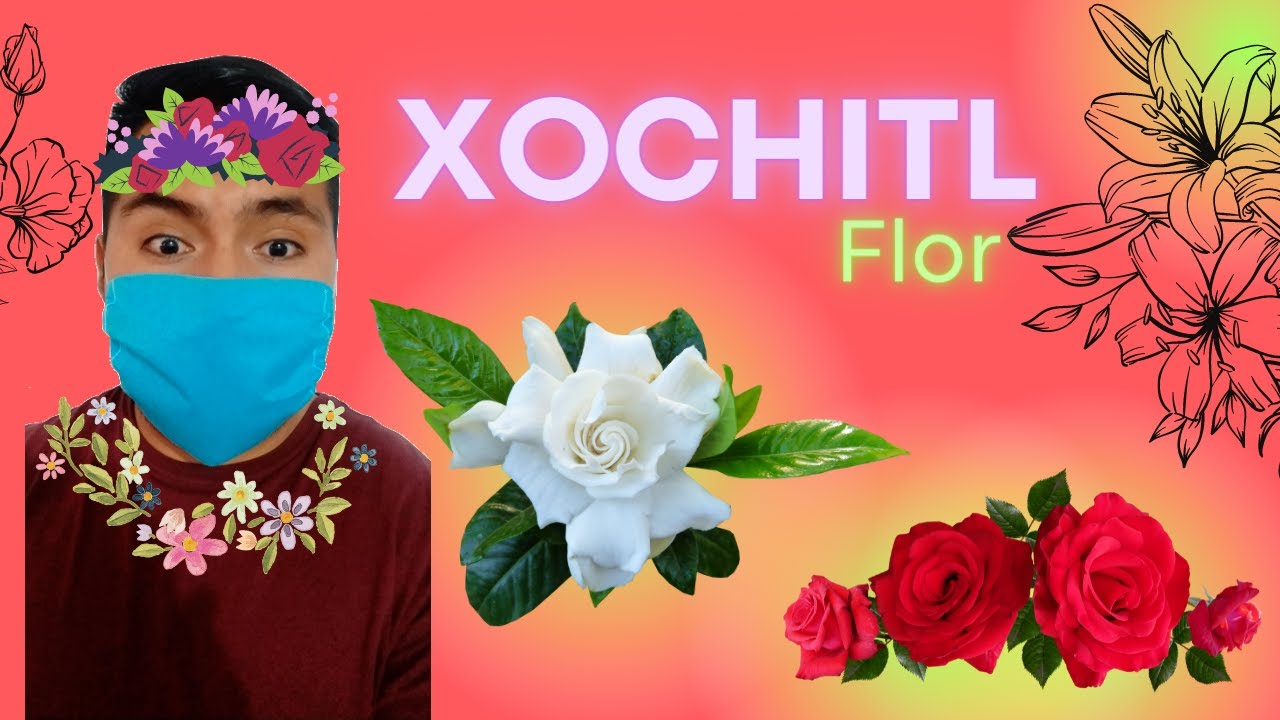 FLOR EN LENGUA NÁHUATL 🌹 Aprende a decir FLOR y FLORES 🌸💐 en NÁHUATL de ...
