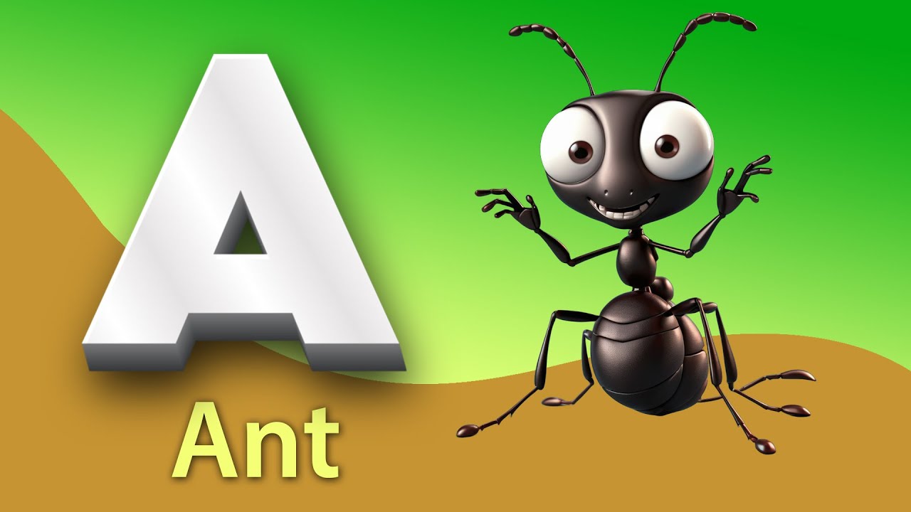 A is for Ant | Fun ABC Alphabet Song for Kids | Learn A to Z with Cool ...