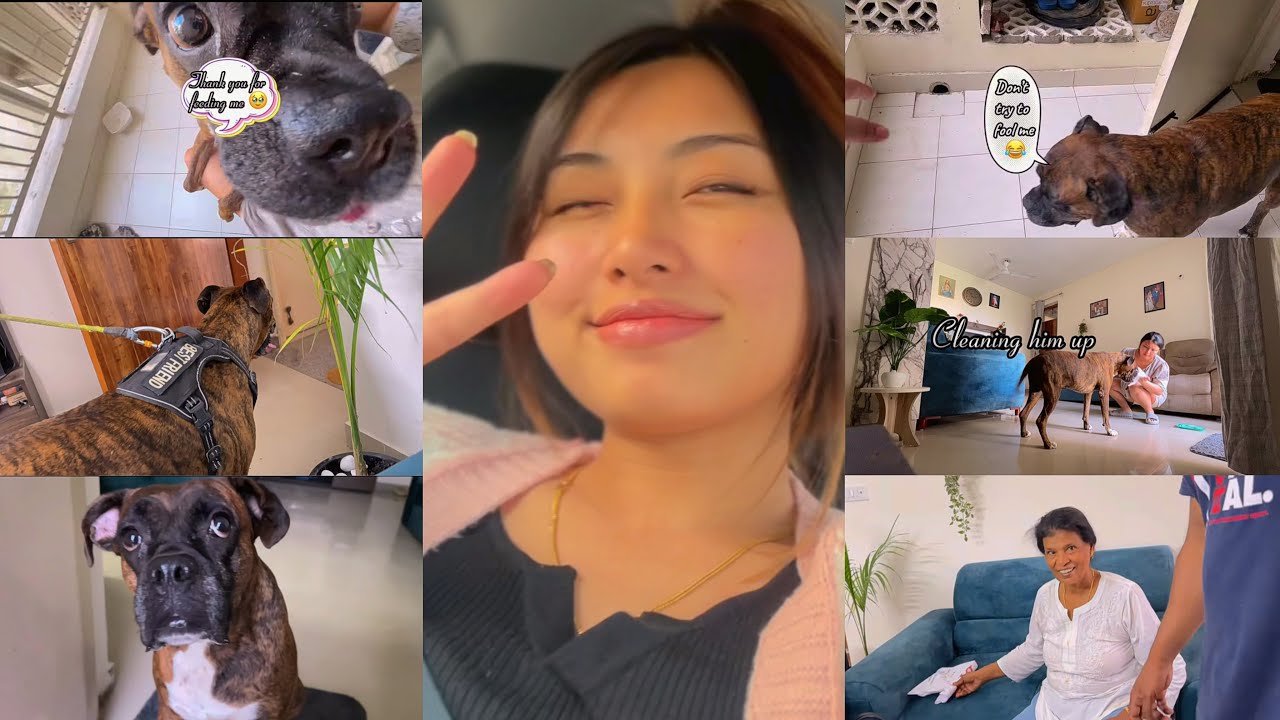 A day with Boxy 🐾🐶 - YouTube