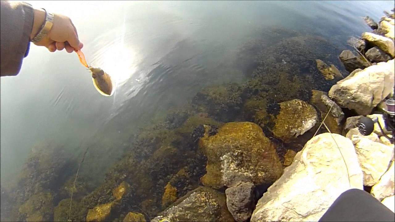 PECHE A LA SECHE A FOS SUR MER - YouTube