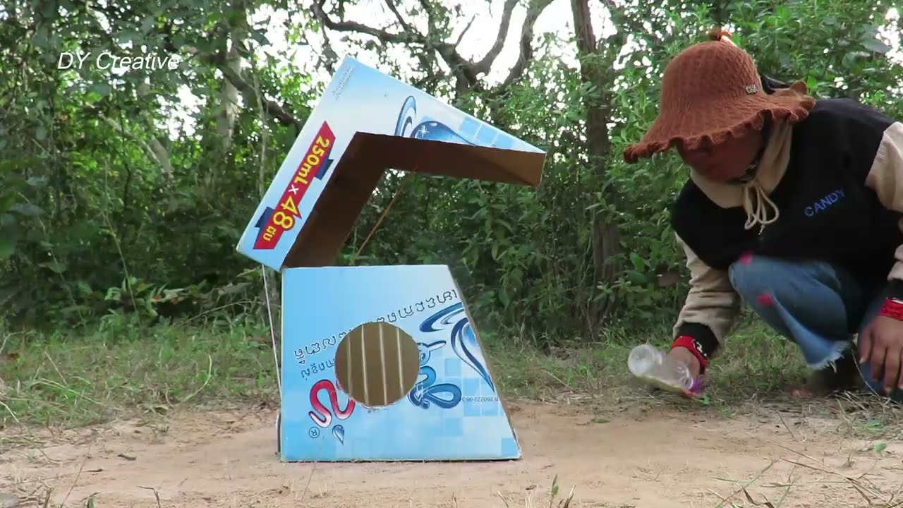 Best Bird Trap - Easy Pigeon Trap With Creative Traps - YouTube