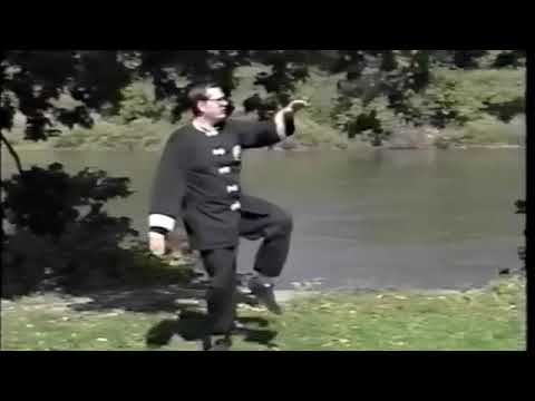 Tai Chi Yang's Long Form Section 3 - YouTube