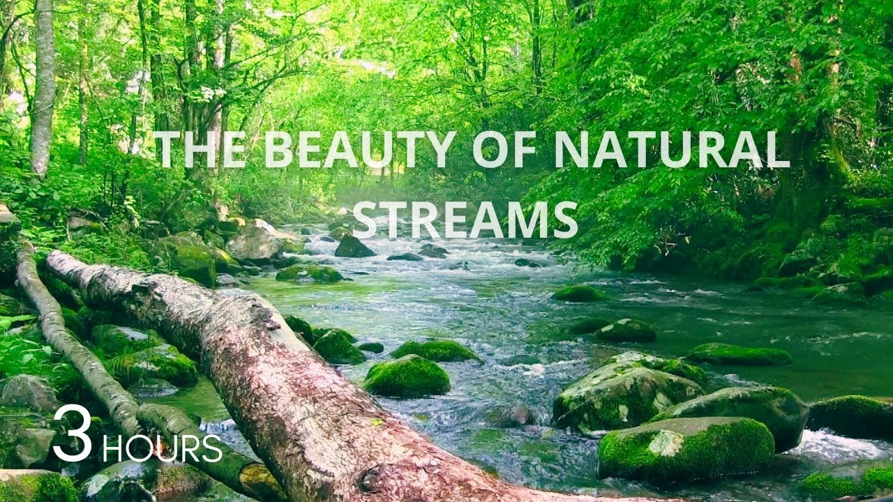 Tranquility in the Beauty of Natural Streams - YouTube