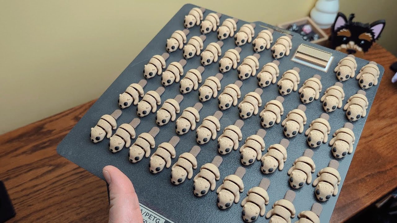 Zou3D Beaver: The Most Adorable 3D Print Ever?! - YouTube