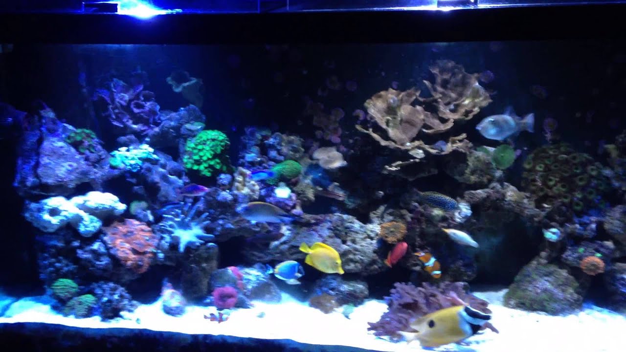 Salt Tank Video - YouTube