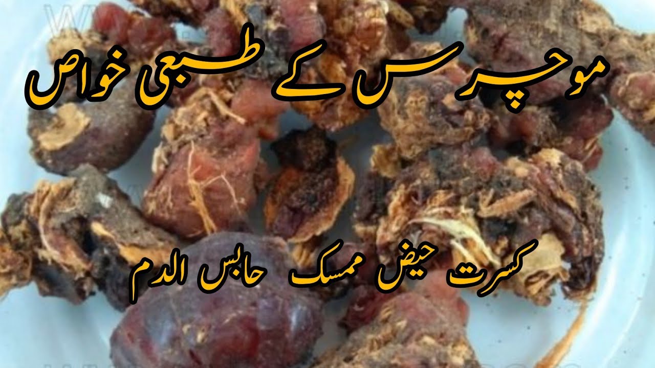 Mochras ke faide | موچرس کے طبعی فائدے | کسرت حیض - YouTube
