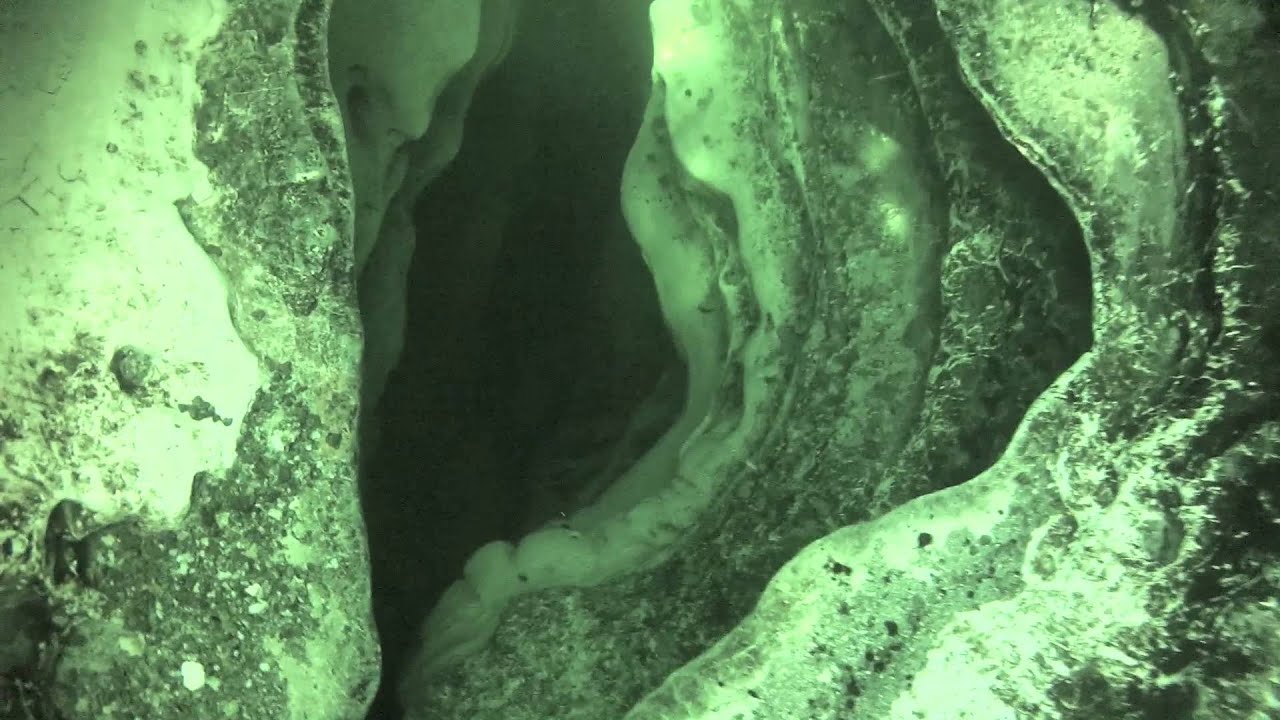 Blue Spring State Park Diving! - YouTube