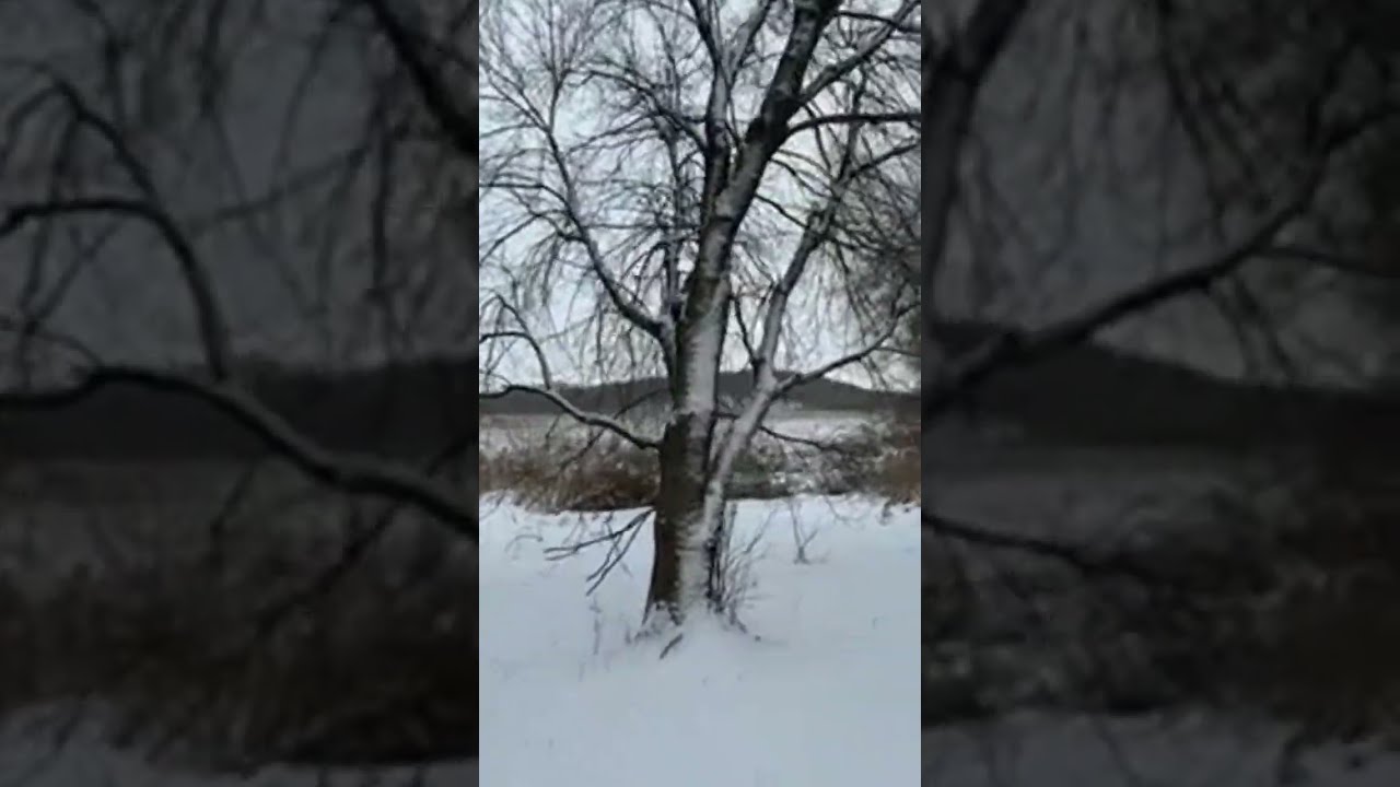 A Nha Minnesota hello is live! - YouTube