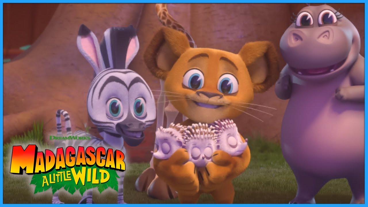 Melman's REAL Emergency! 🚨🦒 | DreamWorks Madagascar - YouTube