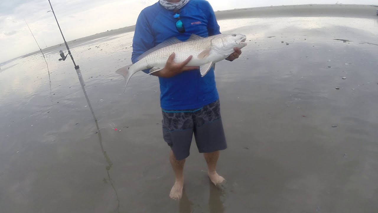 Surf fishing for Red Drum - YouTube