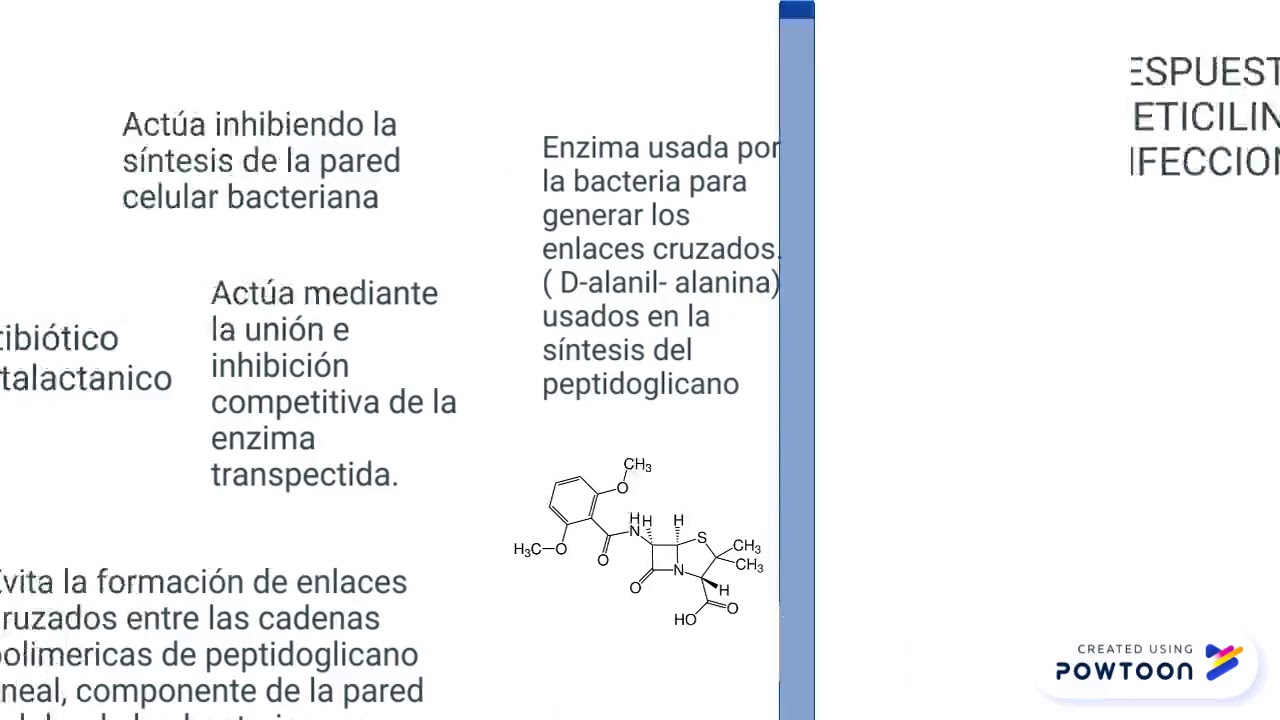 FASE 2 MARIA FERNANDA MACHUCA micro.pptx - YouTube
