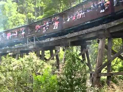 Connie & Vincent, Nicky, Florence, Linda, Alston on Puffing Billy Train ...