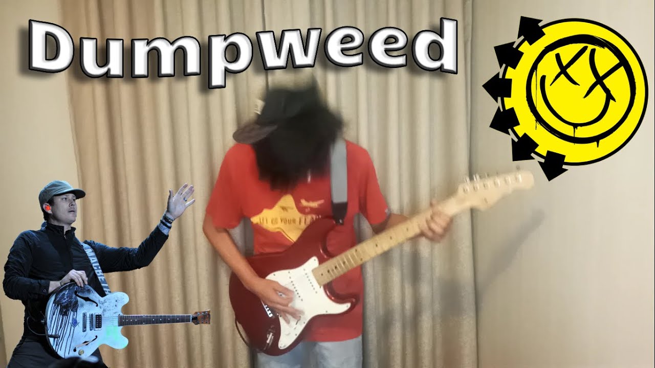 Blink 182 - Dumpweed (Reading 2014) guitar cover - YouTube