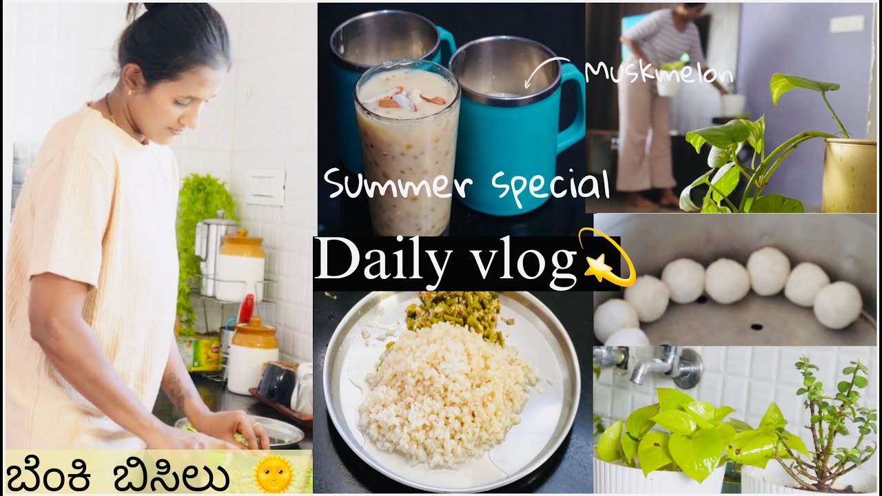 A day in my life| daily vlog| Summer Special Muskmelon Juice| ಬೆಂಕಿ ...