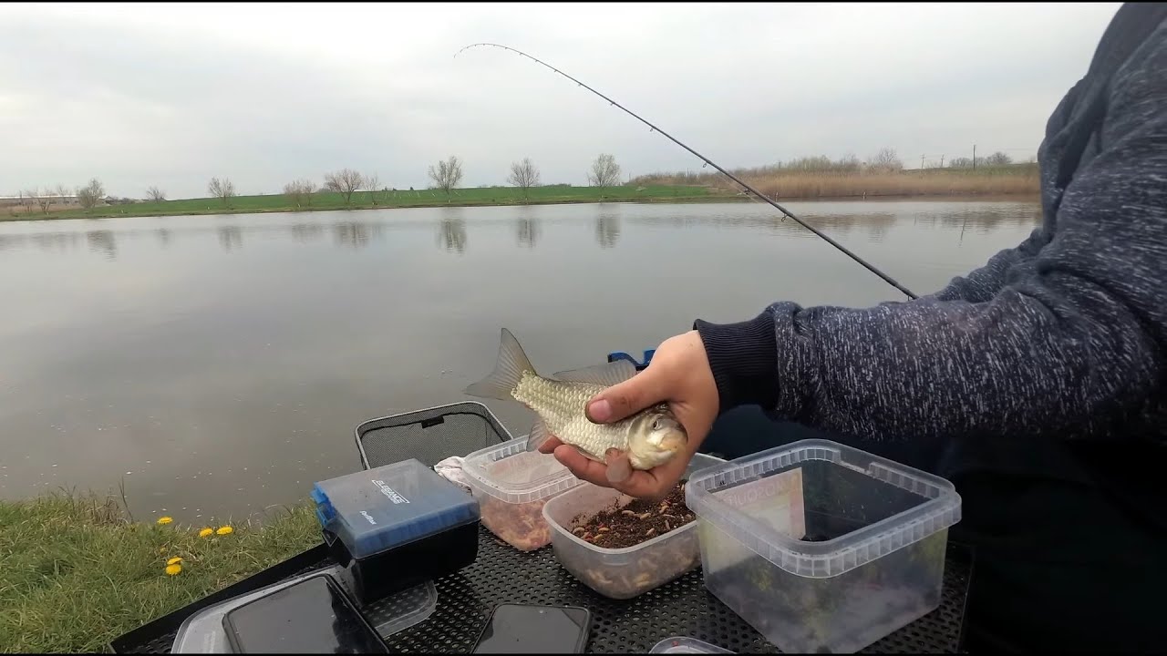 Bela riba, babuska, saran - Pecanje na Jegrickoj. Ep. 10 - YouTube