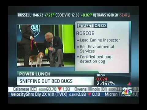 Roscoe & Bell Environmental on CNBC's Power Lunch - July 29, 2014 - YouTube