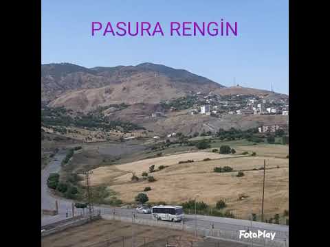Welate Şirin Pasur