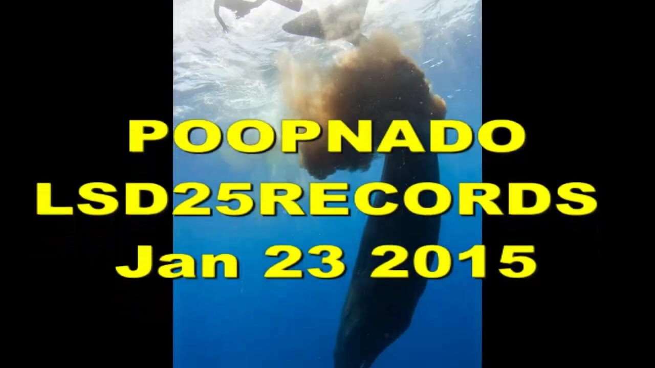 SPERM WHALE POOPNADO LSD25RECORDS JAN 23 2015 - YouTube