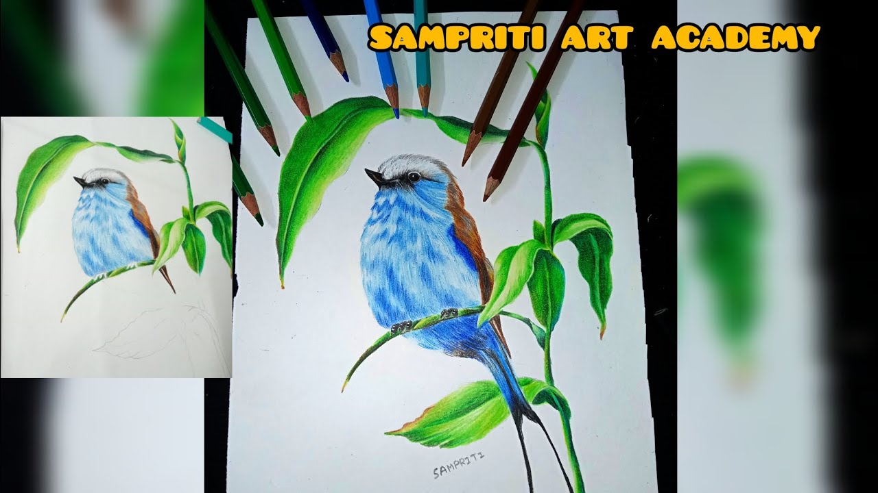how to draw a realistic Bird in coloured pencil || very easy step by ...