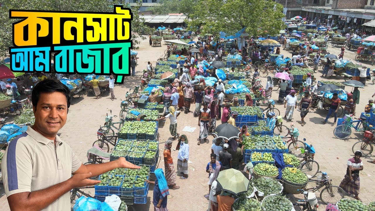 দেশের সবচেয়ে বড় আমের বাজার কানসাট || Kansat Mango Market || Chapai Nawabganj || Kansat - YouTube