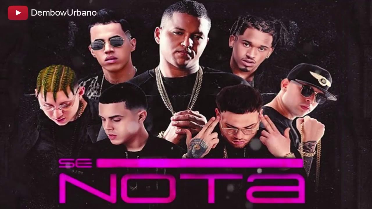 Se Nota - PREVIEW DARKIEL - YouTube