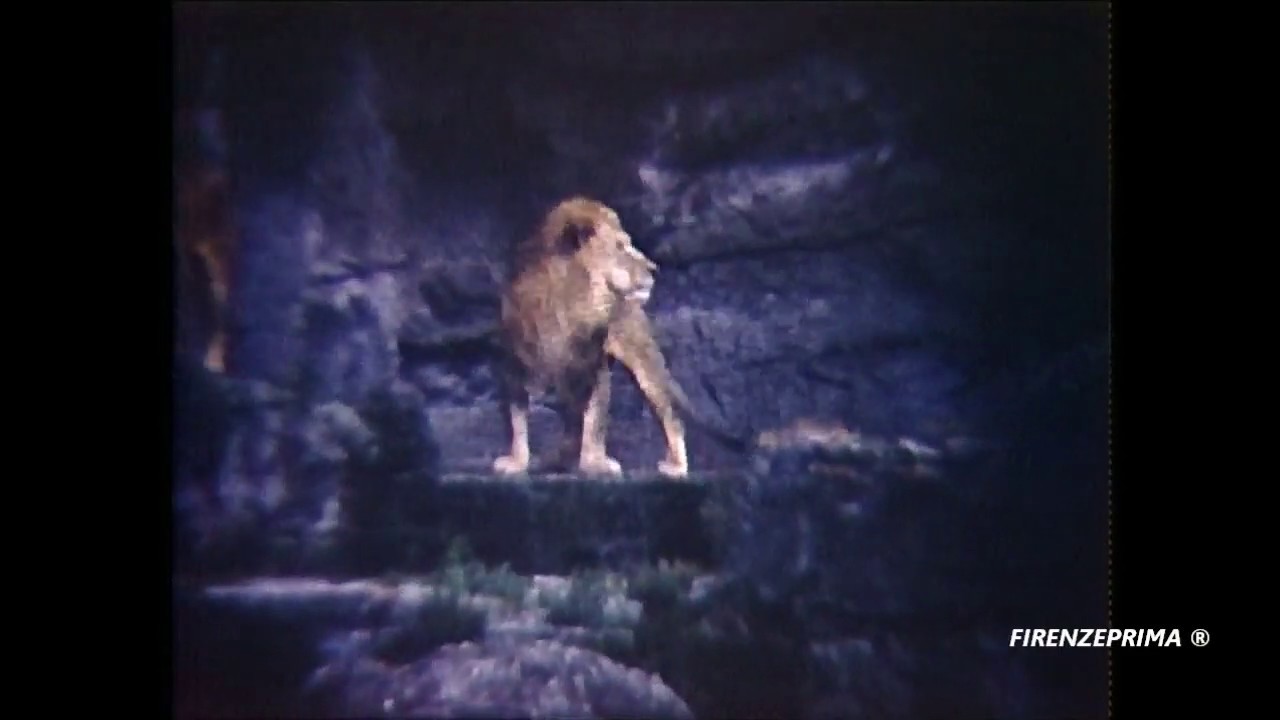 Zoo di Roma 1966 - YouTube