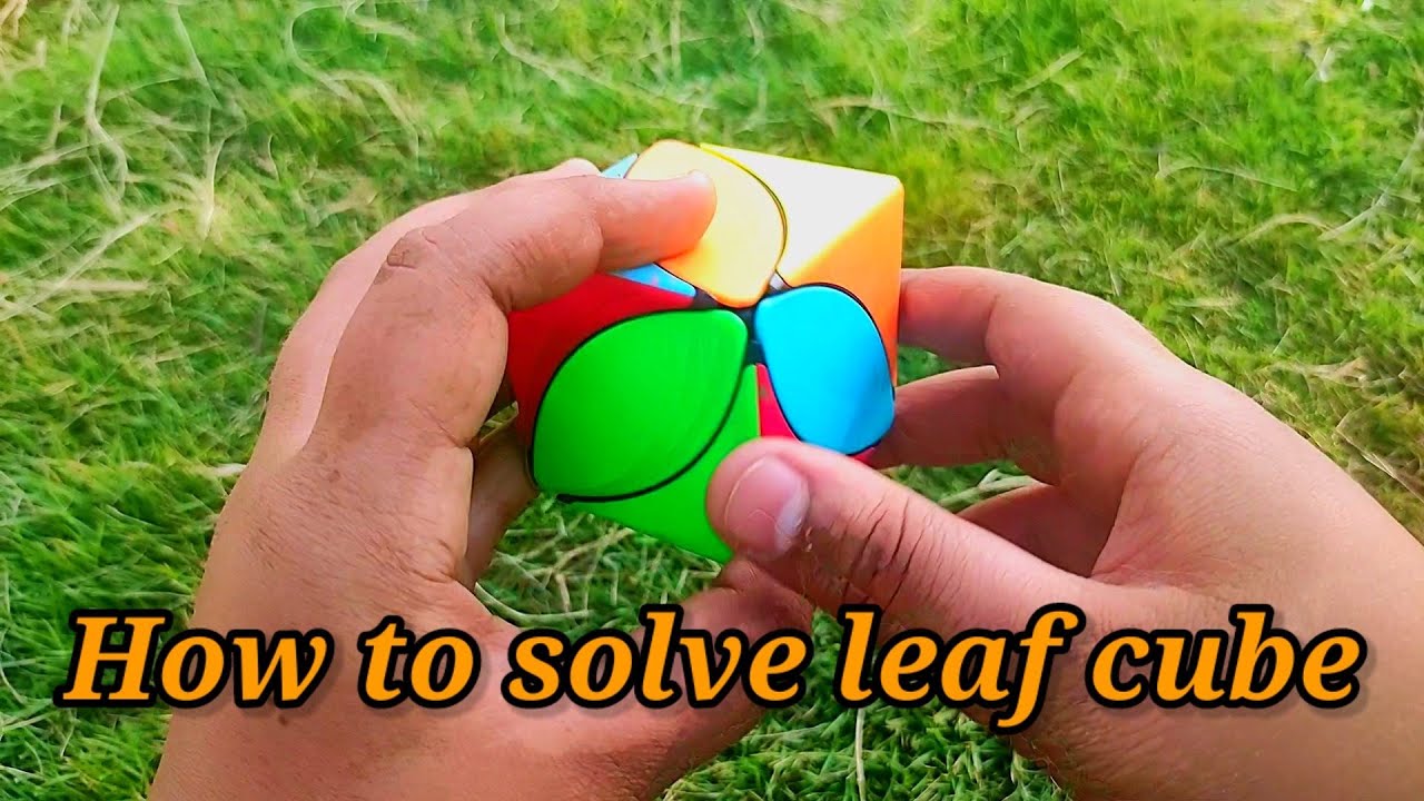 How to solve leaf cube / Ivy cube - YouTube