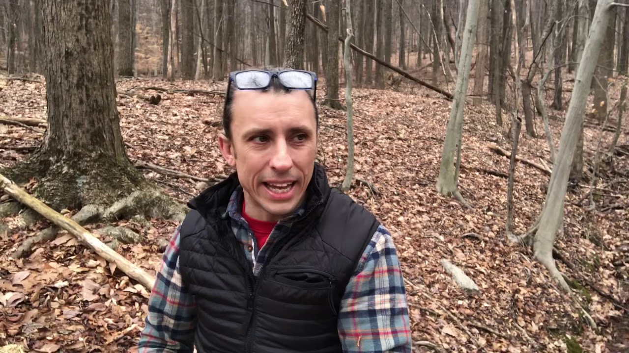 February 1, 2020 - YouTube