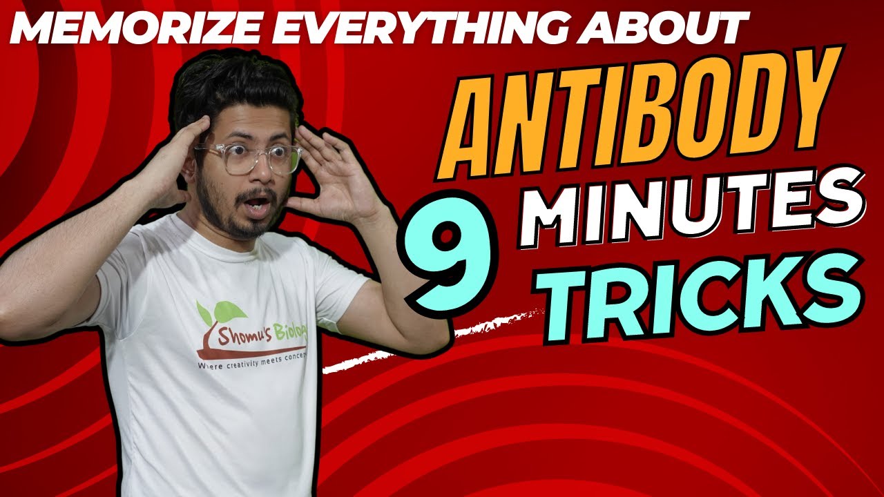 Antibody structure and function tricks | structure and function of ...