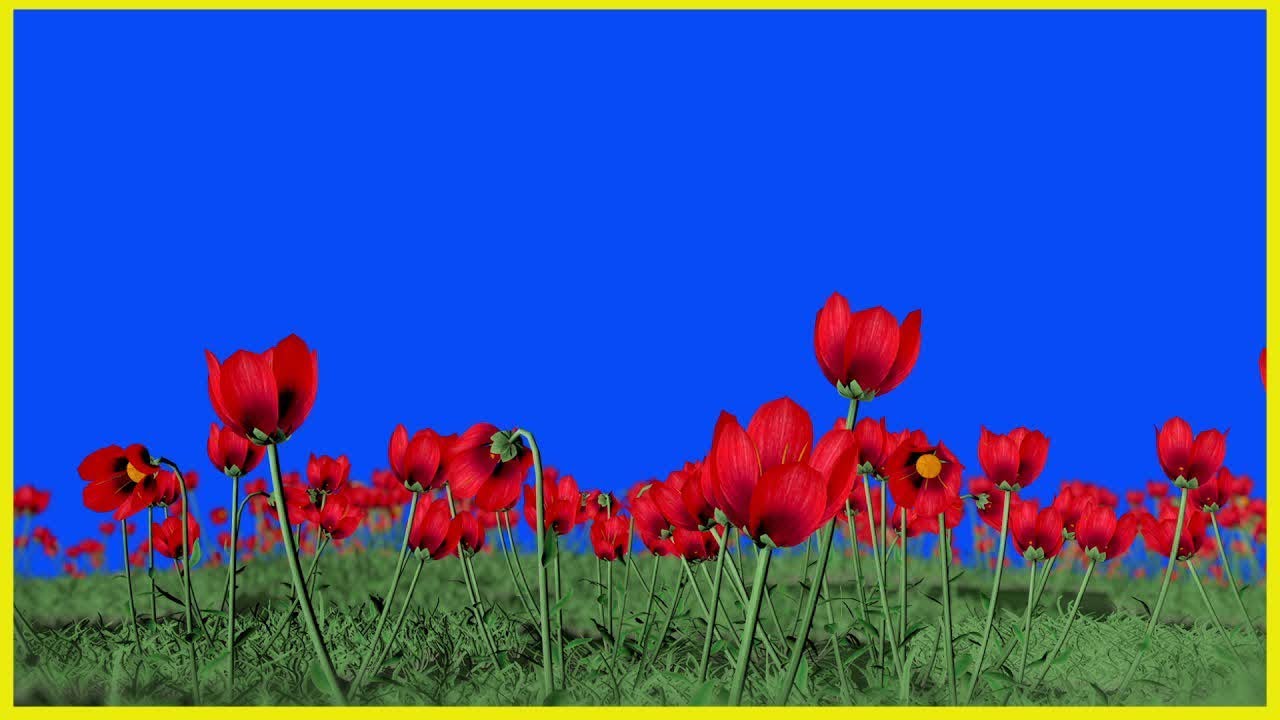 Virtual Background Zoom | NO COPYRIGHT Blue Screen flower field - YouTube