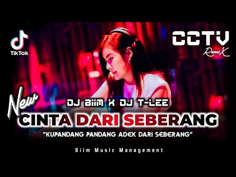 DJ Biim™ Feat DJ T-Lee™‼️|| DJ KUPANDANG PANDANG ADEK DARI SEBERANG (NEW)‼️|| DJ MENGAPA INI TERJADI